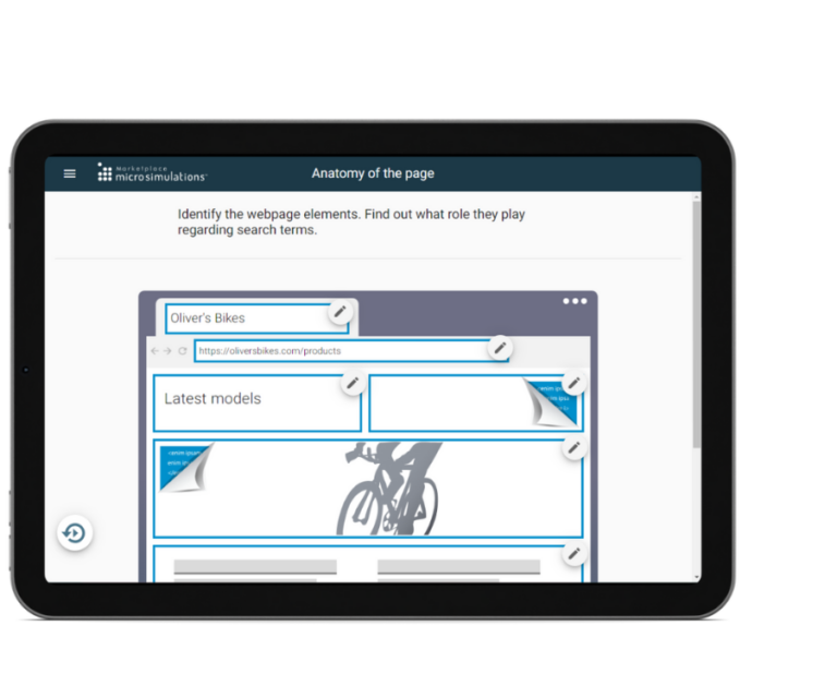 Marketing Microsimulations - Marketplace Simulations