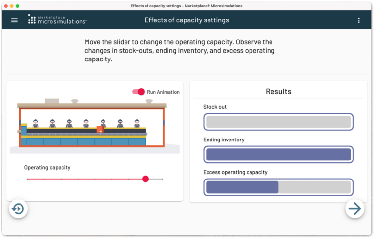 Microsimulations - Marketplace Business Simulations